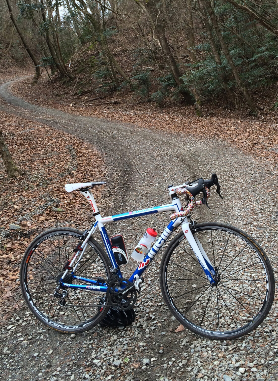 Cinelli NEO MORPHE | whoo bicycles