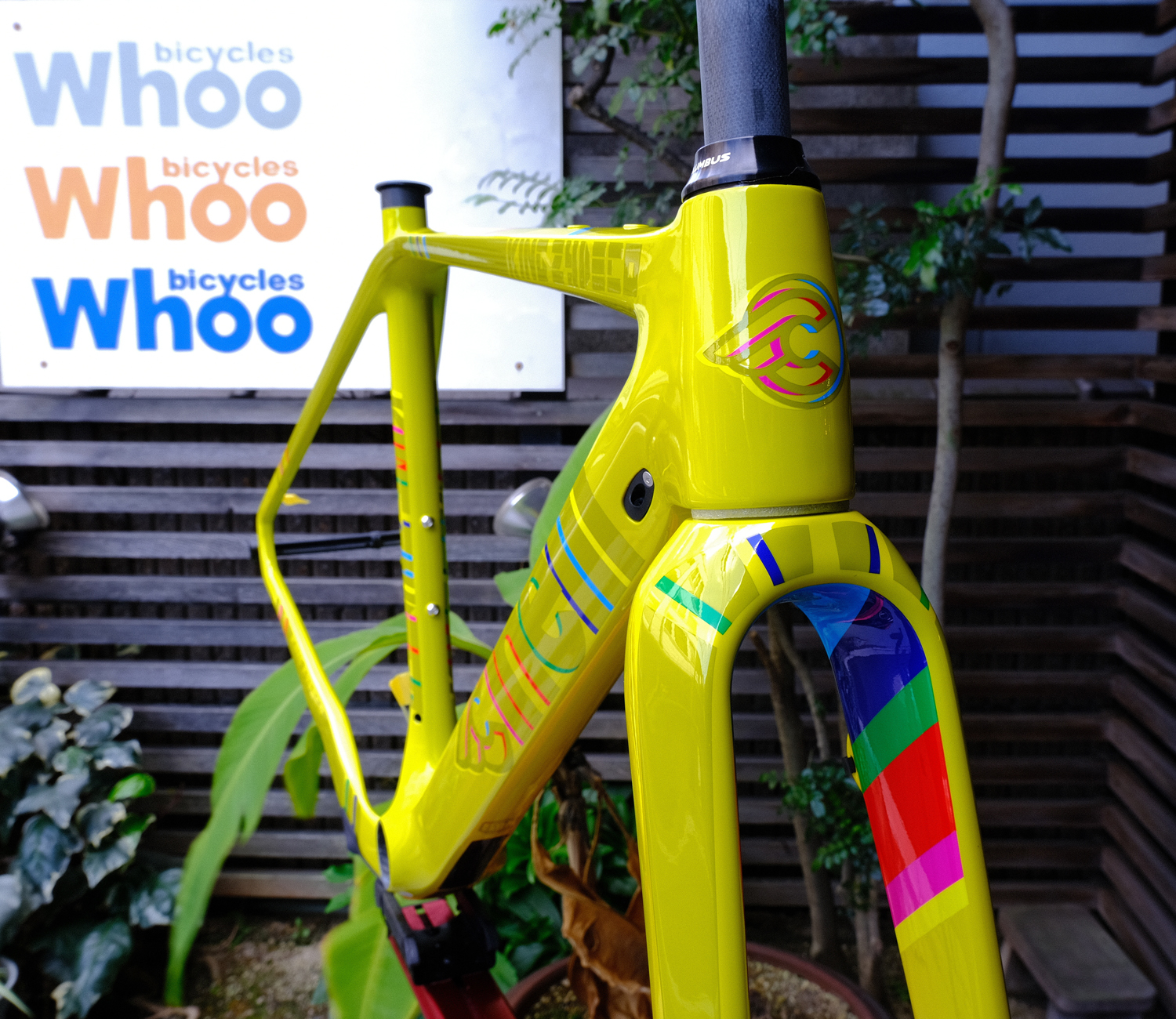 KING ZYDECO ☆ 2023 ☆ GUMBO | whoo bicycles