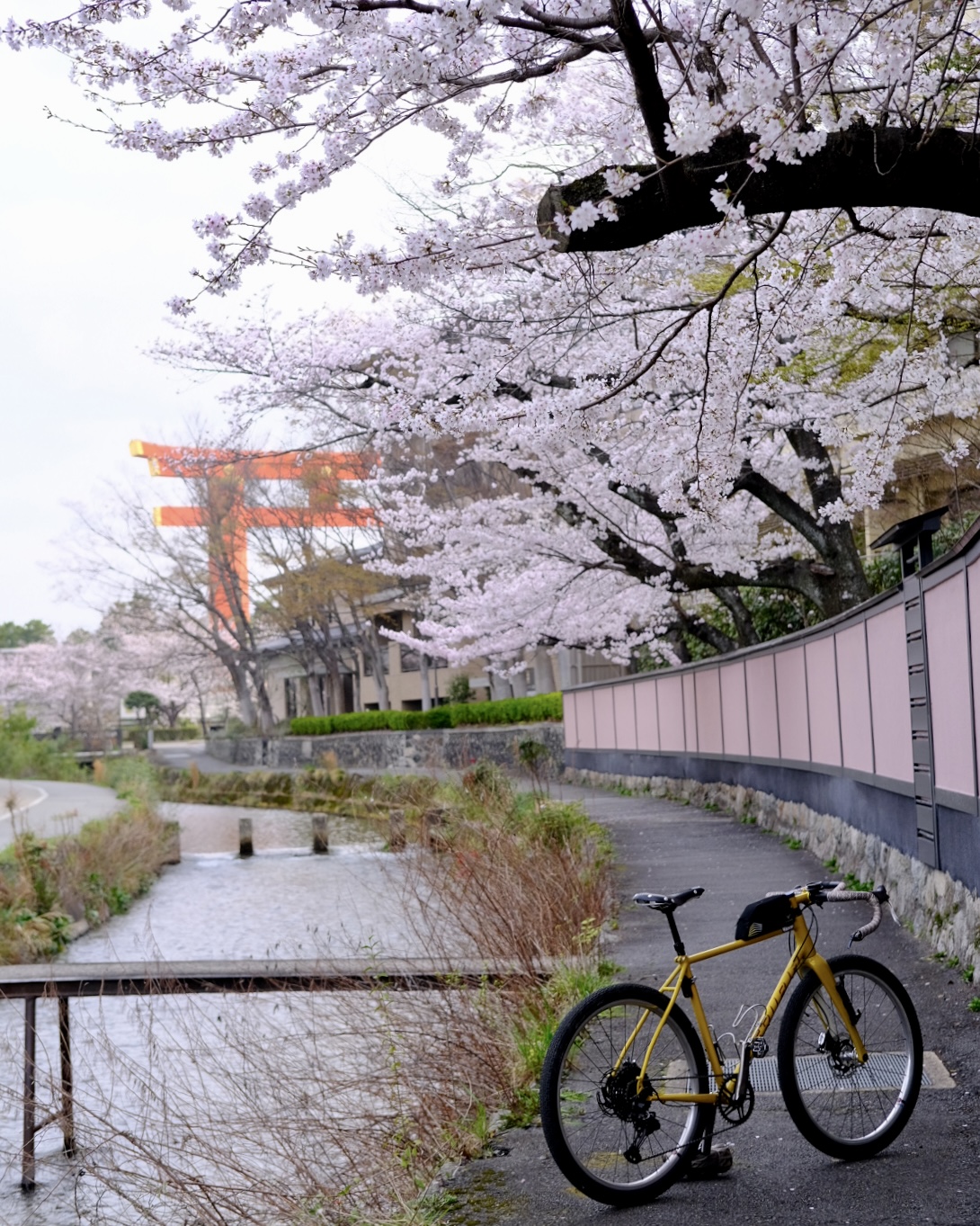 満開☆納車☆macchi STRUMA - whoo bicycles